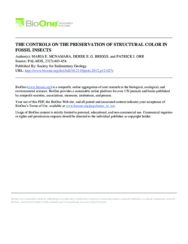 (PDF) The Controls on the Preservation of Structural Color in Fossil ...