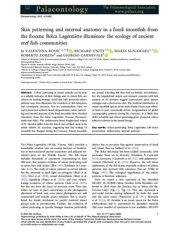 (PDF) Skin patterning and internal anatomy in a fossil moonfish from ...