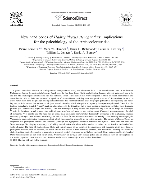 (PDF) New hand bones of Hadropithecus stenognathus: implications for ...