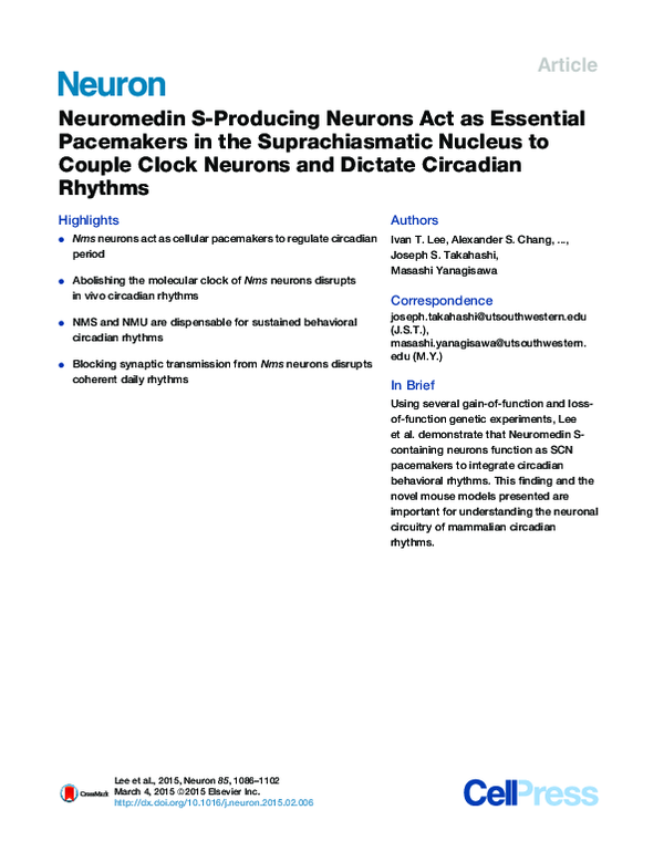 (PDF) Neuromedin s-producing neurons act as essential pacemakers in the ...