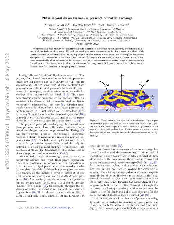 (PDF) Phase separation on surfaces in presence of matter exchange