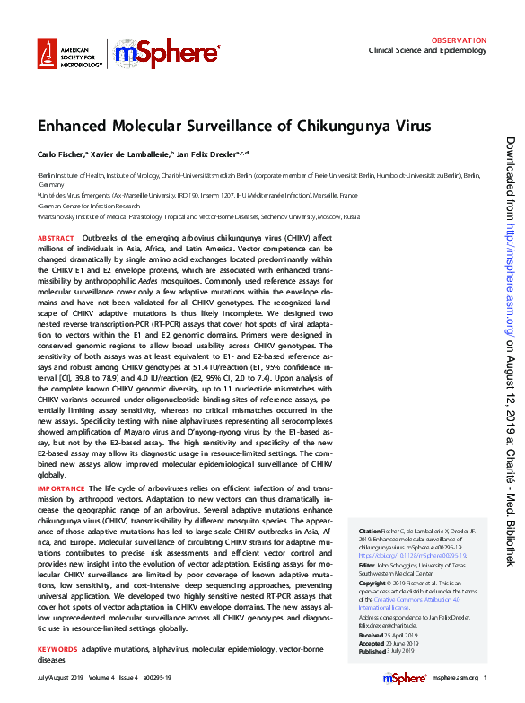 (PDF) Molecular Epidemiology of Chikungunya Virus by Sequencing