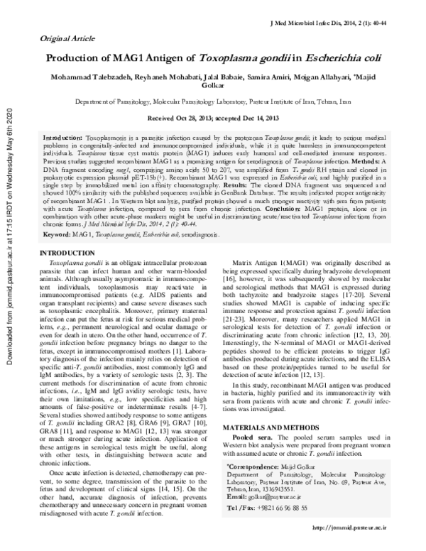 (PDF) MAG1 Antigen Production in E. coli