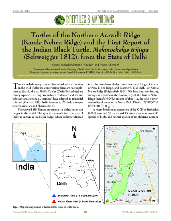(PDF) Turtles of the Northern Aravalli Ridge (Kamla Nehru Ridge) and ...