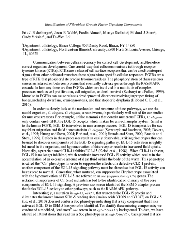 (PDF) Identification of Fibroblast Growth Factor Signaling Components