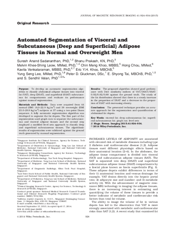 (PDF) Automated segmentation of visceral and subcutaneous (deep and superficial) adipose tissues ...