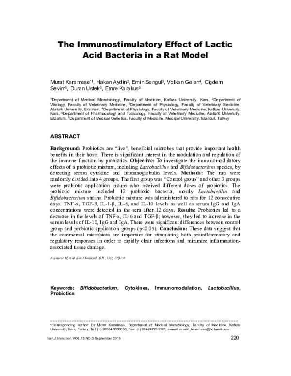 (PDF) The Immunostimulatory Effect of Lactic Acid Bacteria in a Rat Model