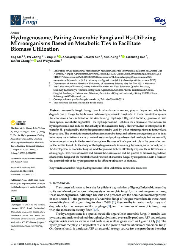 (PDF) Hydrogenosome, Pairing Anaerobic Fungi and H2-Utilizing ...