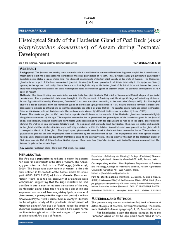 (PDF) Histological Study of the Harderian Gland of Pati Duck (Anas ...
