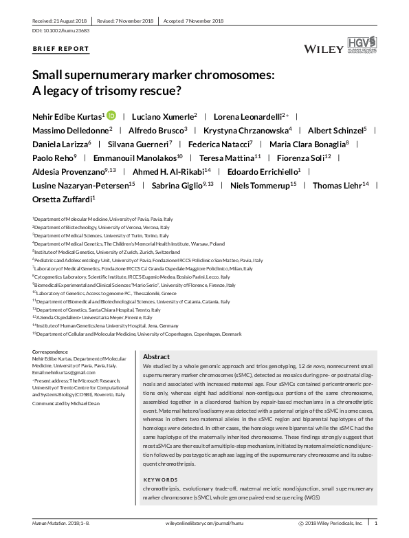 (PDF) Small supernumerary marker chromosomes: A legacy of trisomy rescue?