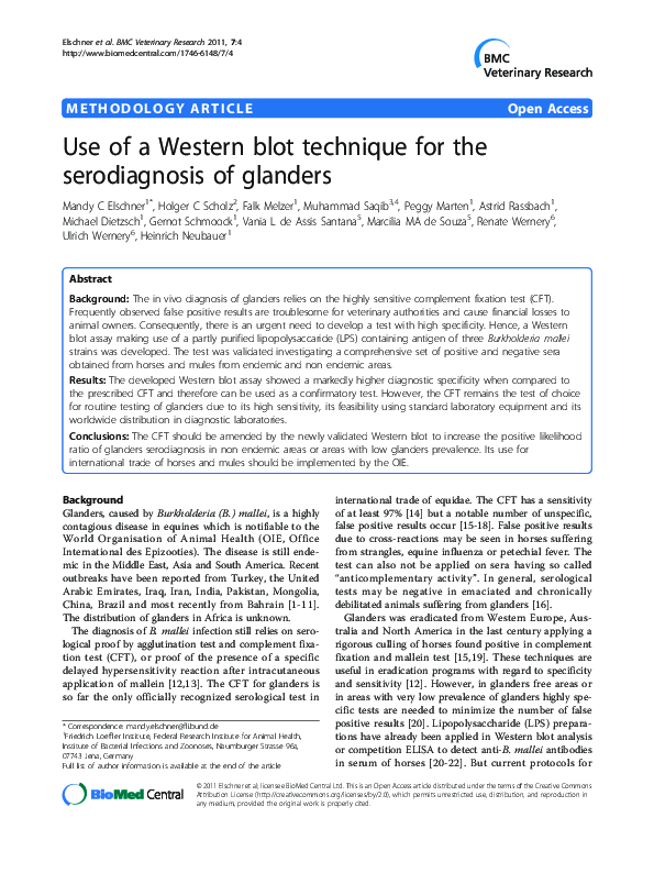 (PDF) Use of a Western blot technique for the serodiagnosis of glanders