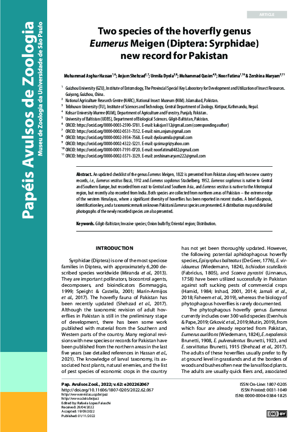 (PDF) Two species of the hoverfly genus Eumerus Meigen (Diptera ...