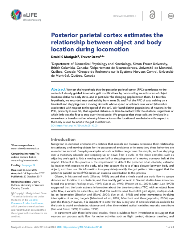 (PDF) Posterior parietal cortex estimates the relationship between ...