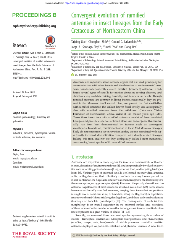 (PDF) Early Cretaceous Insects with Ramified Antennae