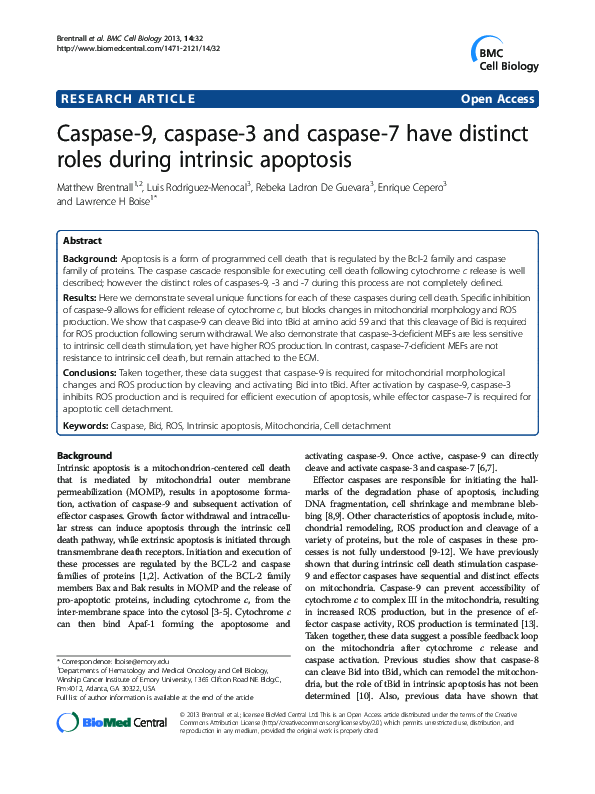 (PDF) Caspase-9, caspase-3 and caspase-7 have distinct roles during ...