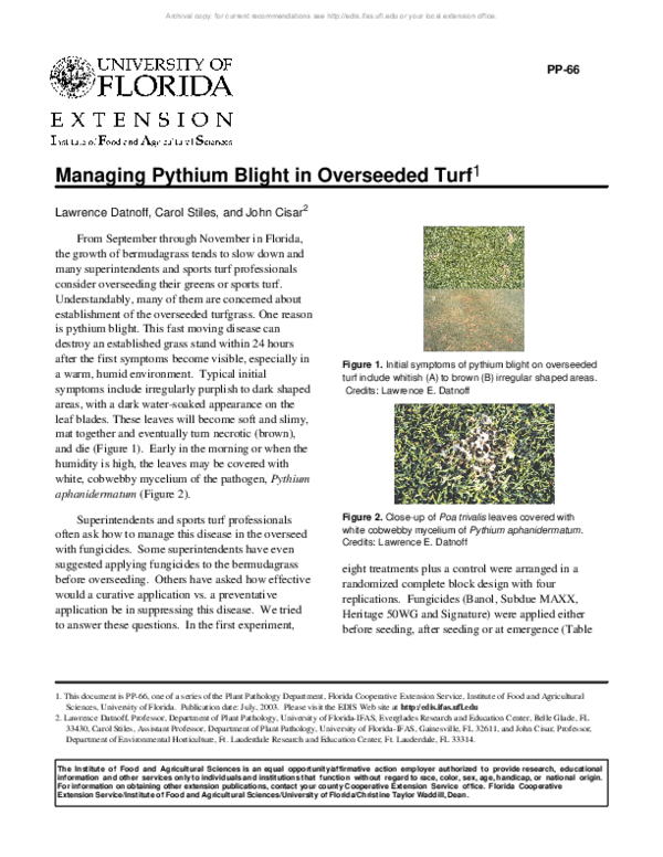 Pdf Managing Pythium Blight In Overseeded Turf Lawrence Datnoff