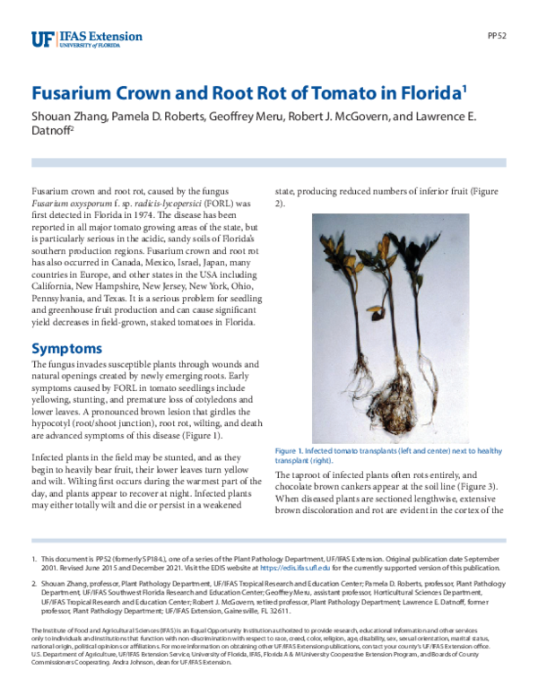 (PDF) Fusarium Crown and Root Rot of Tomato in Florida