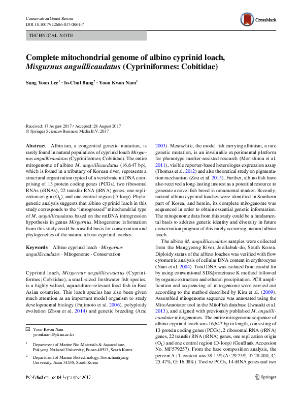 (PDF) Complete mitochondrial genome of albino cyprinid loach, Misgurnus ...