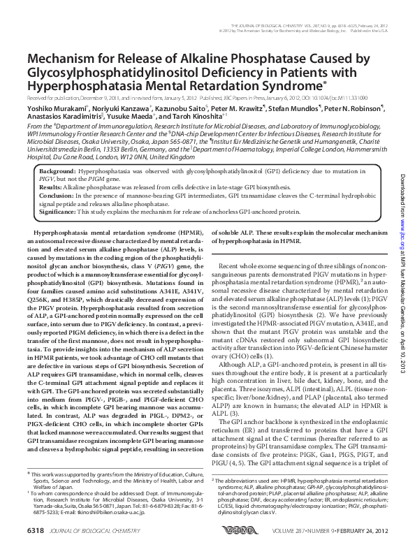 (PDF) Mechanism for Release of Alkaline Phosphatase Caused by ...