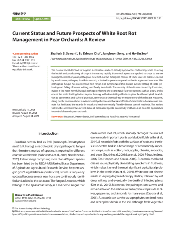 (PDF) Current Status and Future Prospects of White Root Rot Management ...