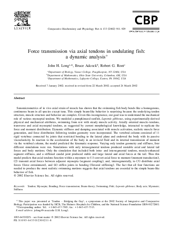 (PDF) Force transmission via axial tendons in undulating fish: a ...