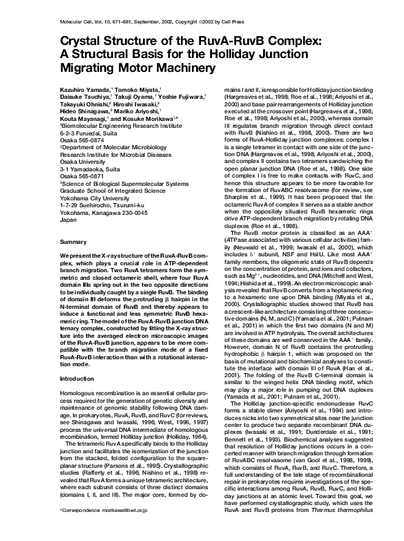 (PDF) Crystal Structure of the RuvA-RuvB Complex