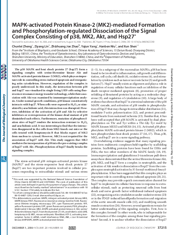 (PDF) MAPK-activated Protein Kinase-2 (MK2)-mediated Formation and ...