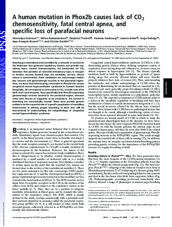 (PDF) A human mutation in Phox2b causes lack of CO2 chemosensitivity ...