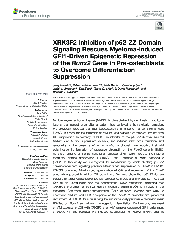 (PDF) {"__content__"=>"XRK3F2 Inhibition of p62-ZZ Domain Signaling Rescues Myeloma-Induced GFI1 ...