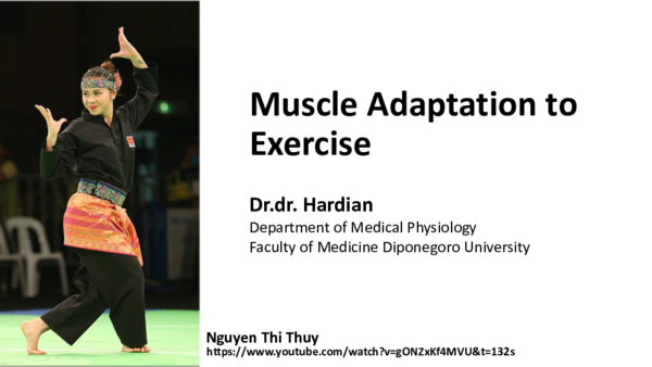 (PDF) Muscle Adaptation to Exercise