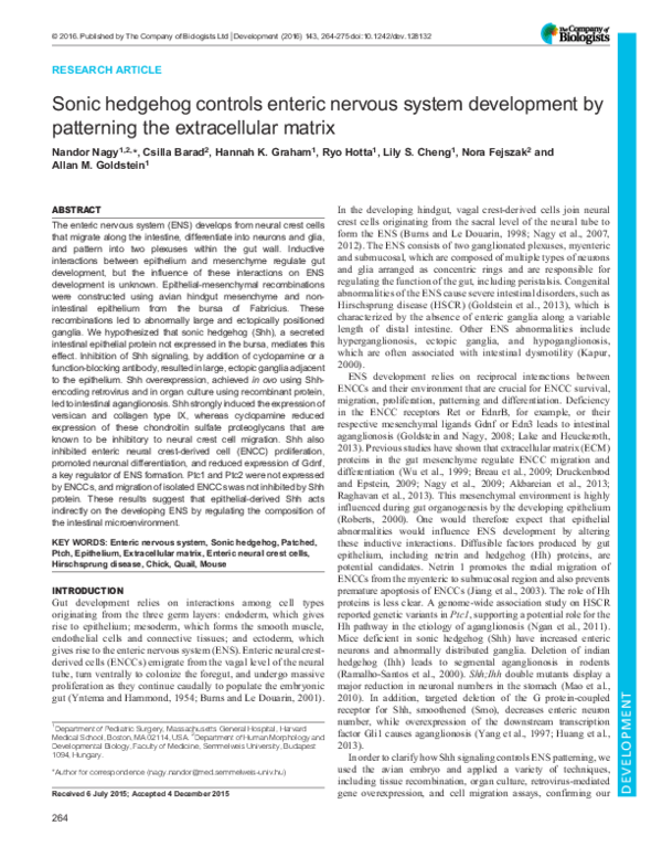 (PDF) Sonic hedgehog controls enteric nervous system development by patterning the extracellular ...