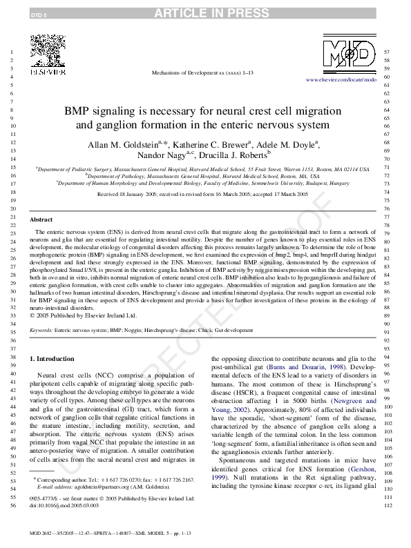 (PDF) BMP signaling is necessary for neural crest cell migration and ...