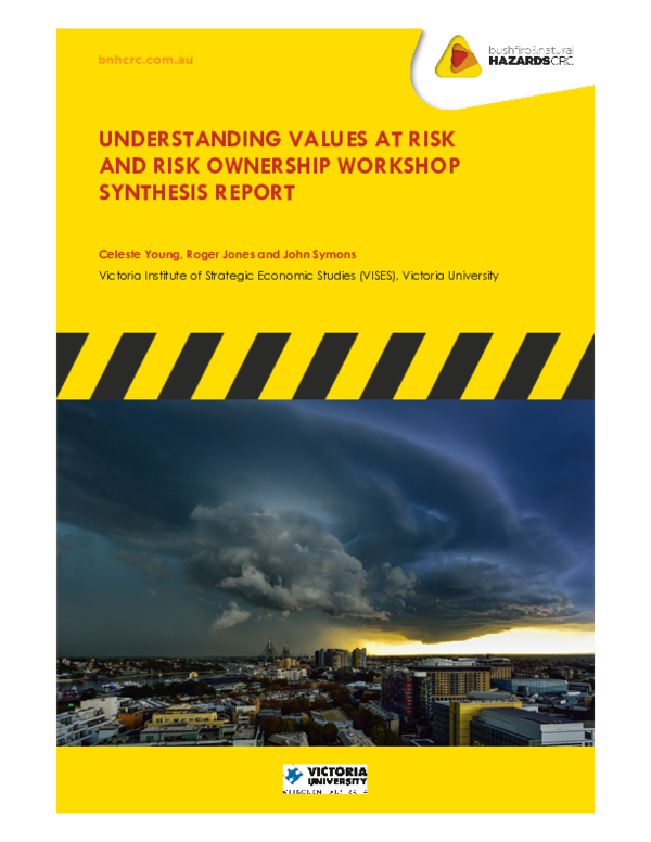 (PDF) Understanding Values at Risk And Risk Ownership Workshop ...