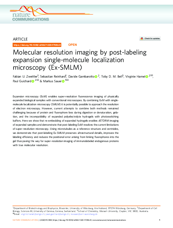 Pdf Molecular Resolution Imaging By Post Labeling Expansion Single Molecule Localization