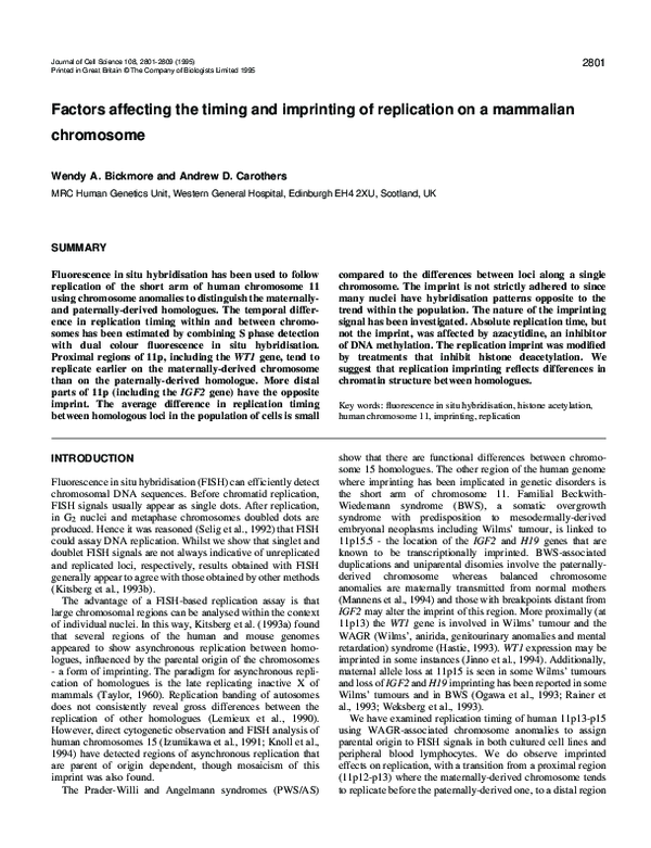 Pdf Factors Affecting The Timing And Imprinting Of Replication On A