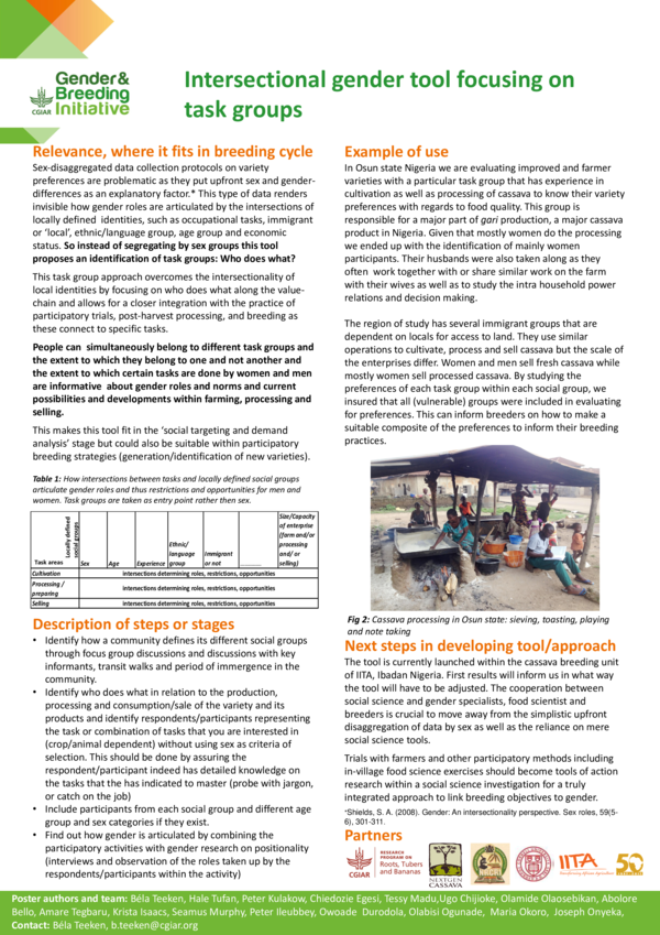 (PDF) Intersectional gender tool focusing on task groups