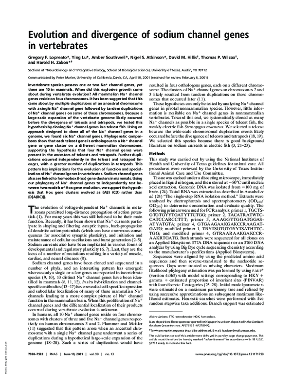 (PDF) Evolution and divergence of sodium channel genes in vertebrates