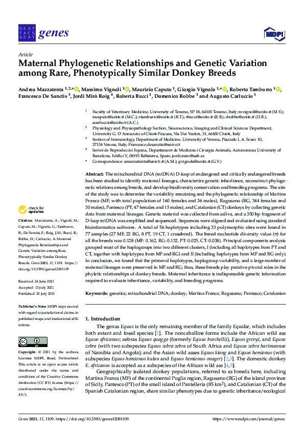 Pdf Maternal Phylogenetic Relationships And Genetic Variation Among