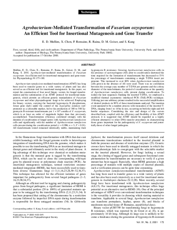 Pdf Agrobacterium Mediated Transformation Of Fusarium Oxysporum An