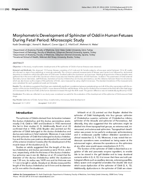 (PDF) Morphometric Development of Sphincter of Oddi in Human Fetuses During Fetal Period ...