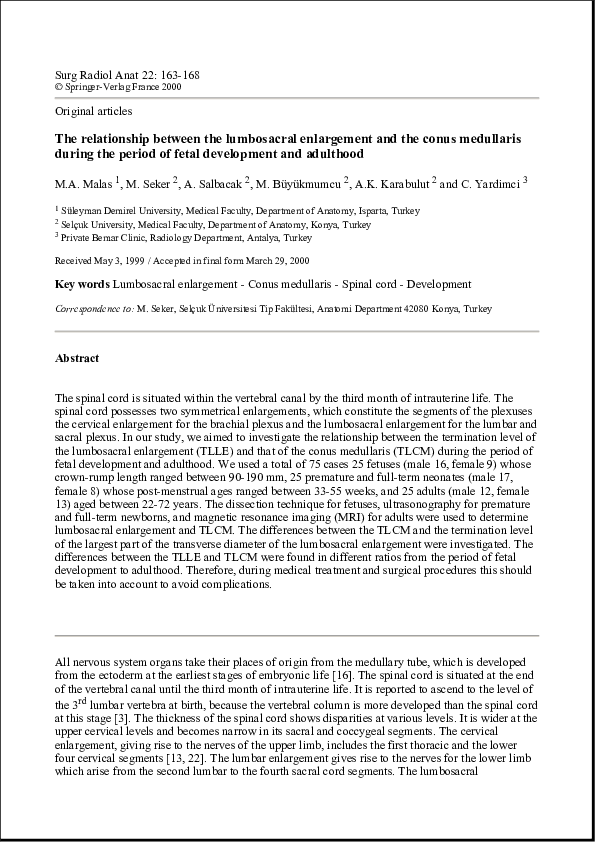(PDF) The relationship between the lumbosacral enlargement and the ...
