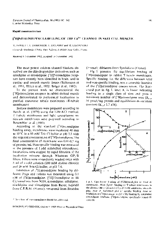 (PDF) [3H]nitrendipine labelling of the Ca2+ channel in skeletal muscle ...