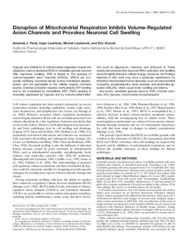 (PDF) Disruption of Mitochondrial Respiration Inhibits Volume-Regulated Anion Channels and ...