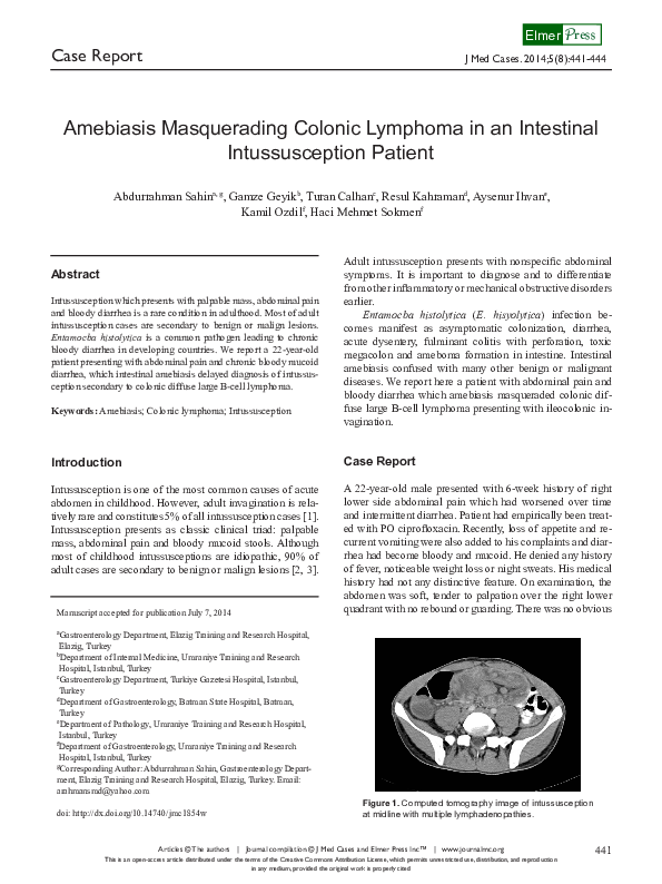 (PDF) Amebiasis Masquerading Colonic Lymphoma in an Intestinal ...