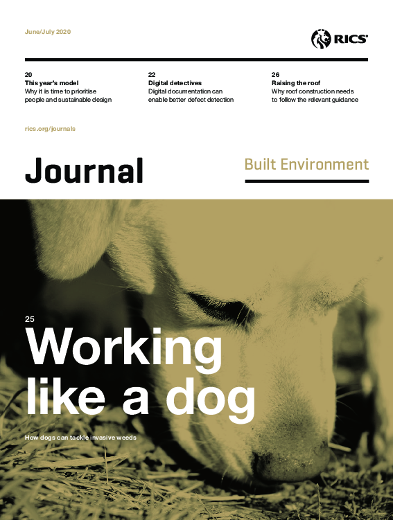 (PDF) Digital Detectives