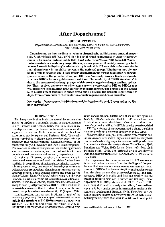 (PDF) After Dopachrome?