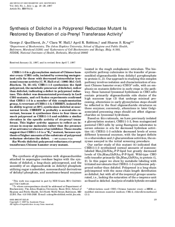 (PDF) Synthesis of Dolichol in a Polyprenol Reductase Mutant Is ...