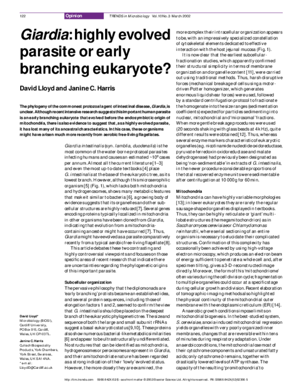 (PDF) Giardia: highly evolved parasite or early branching eukaryote?
