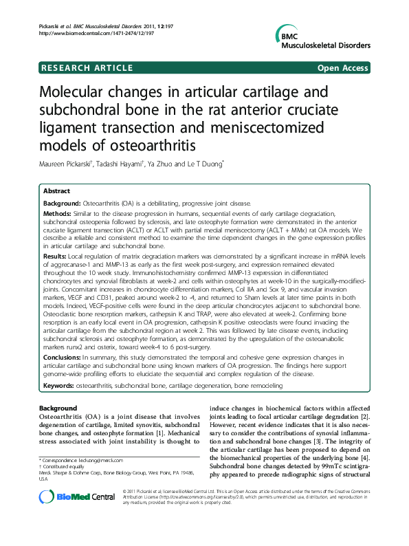 (PDF) Molecular changes in articular cartilage and subchondral bone in ...