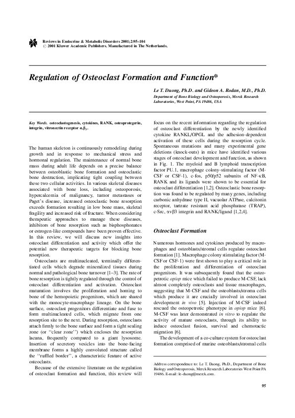 (PDF) Regulation of Osteoclast Formation and Function